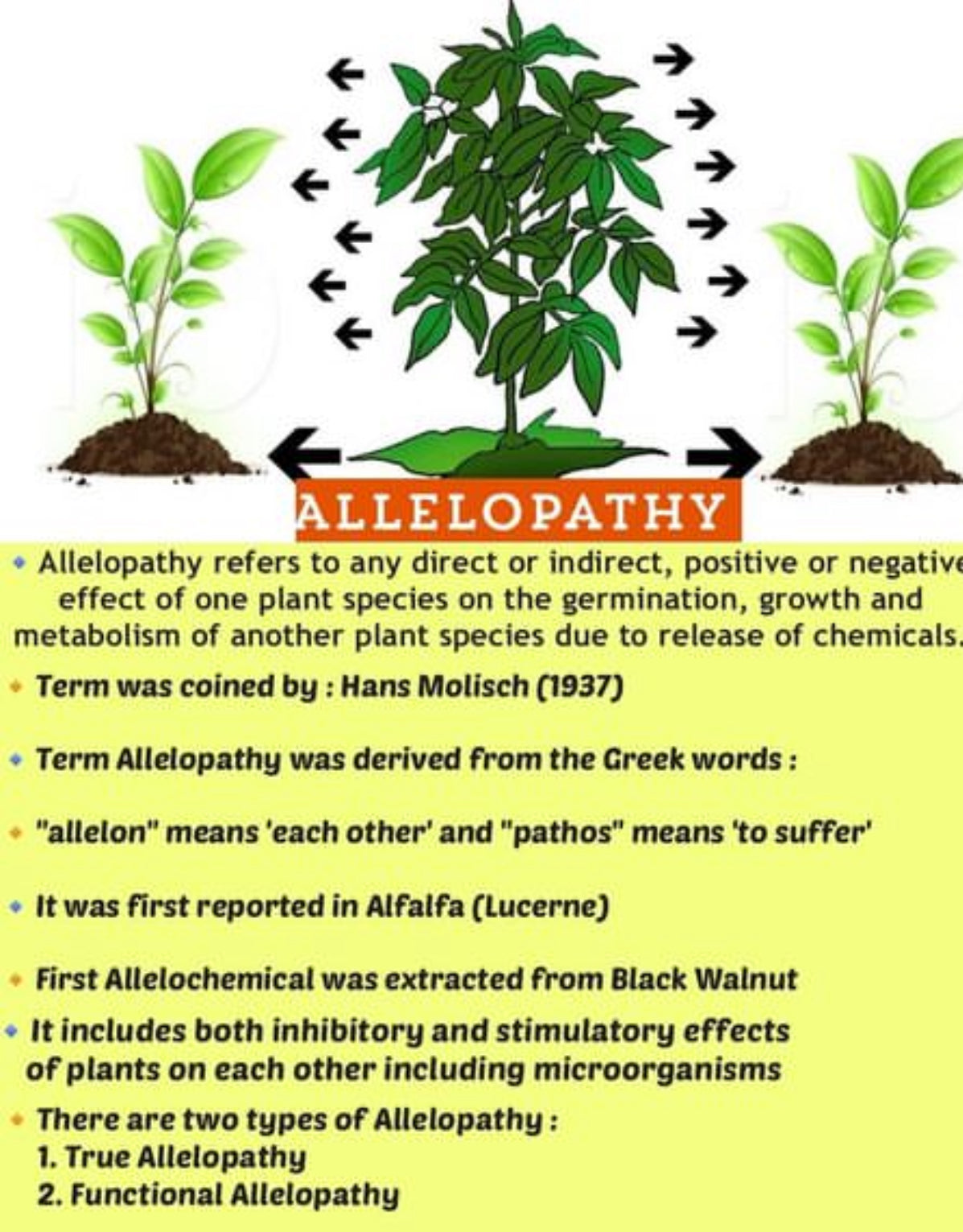Allelopathy in Plants: Mechanisms, Impacts, and Practical Applications ...