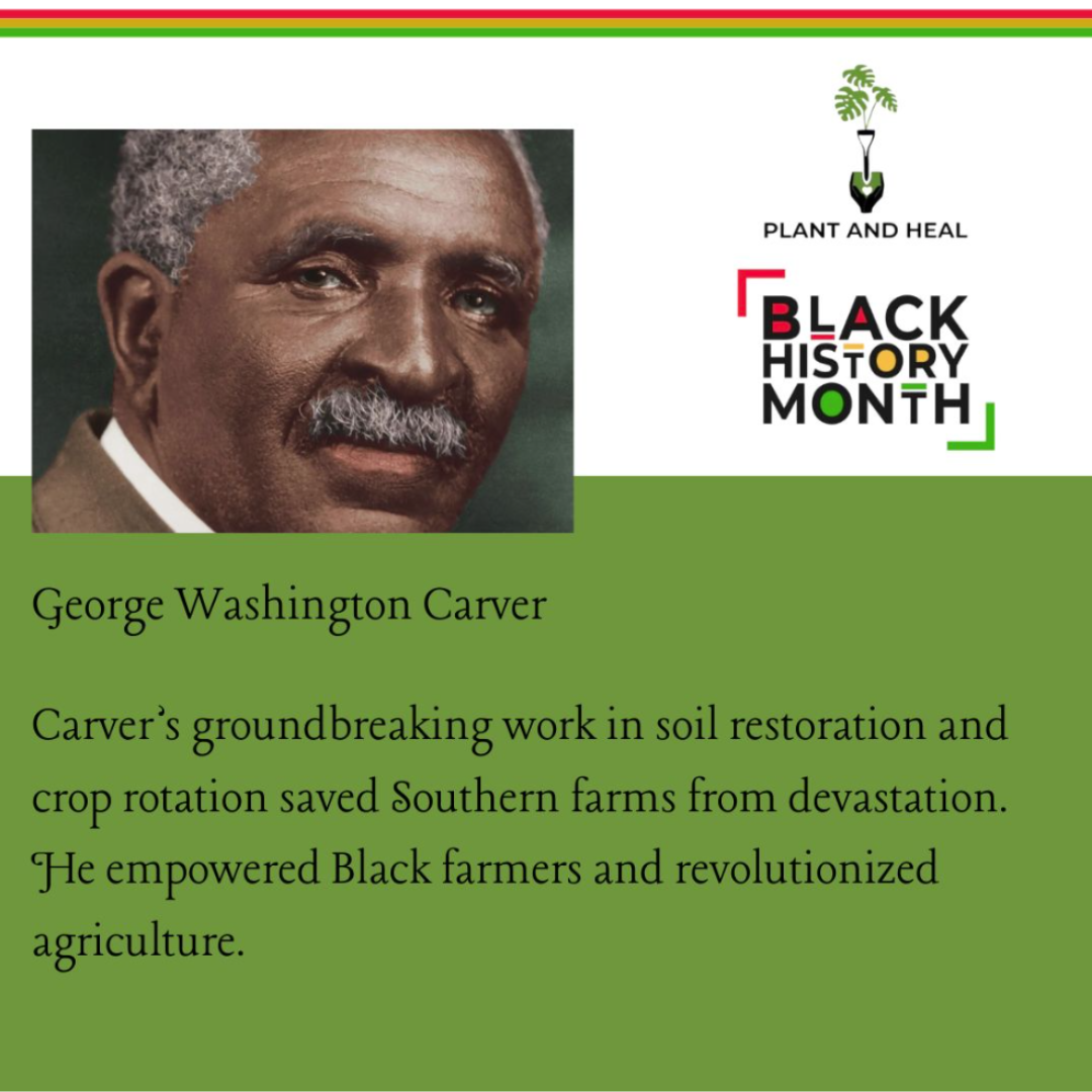 George Washington Carver: The Plant Whisperer Who Revolutionized Agric ...