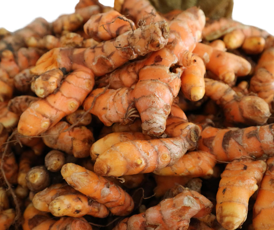 Red Turmeric Plant – Plant and Heal